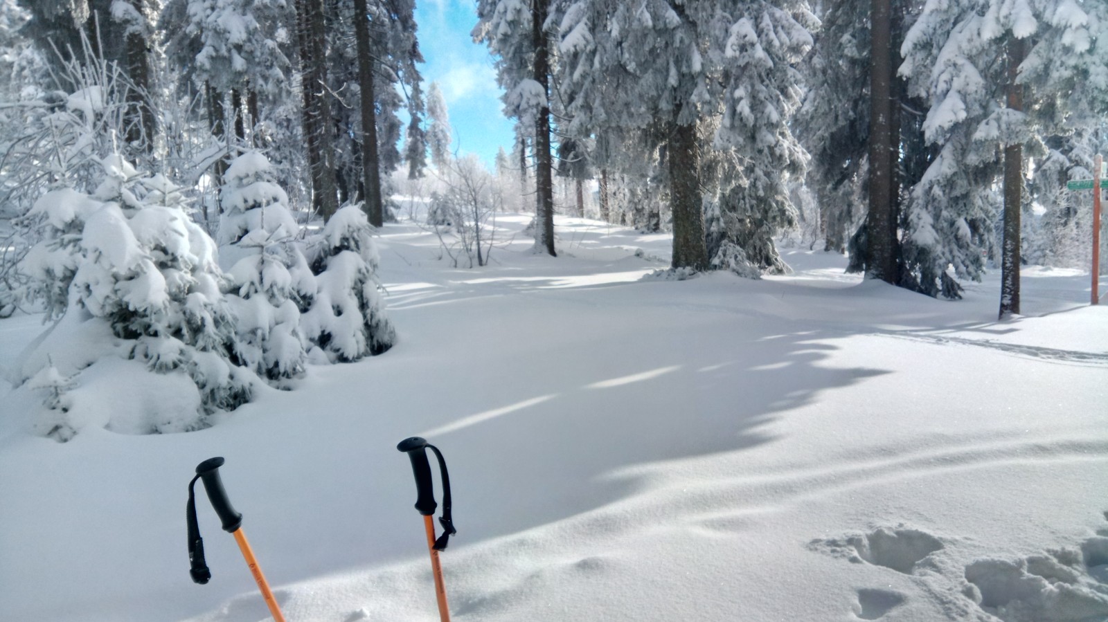 Skitour auf den Großen Arber mit Kindern